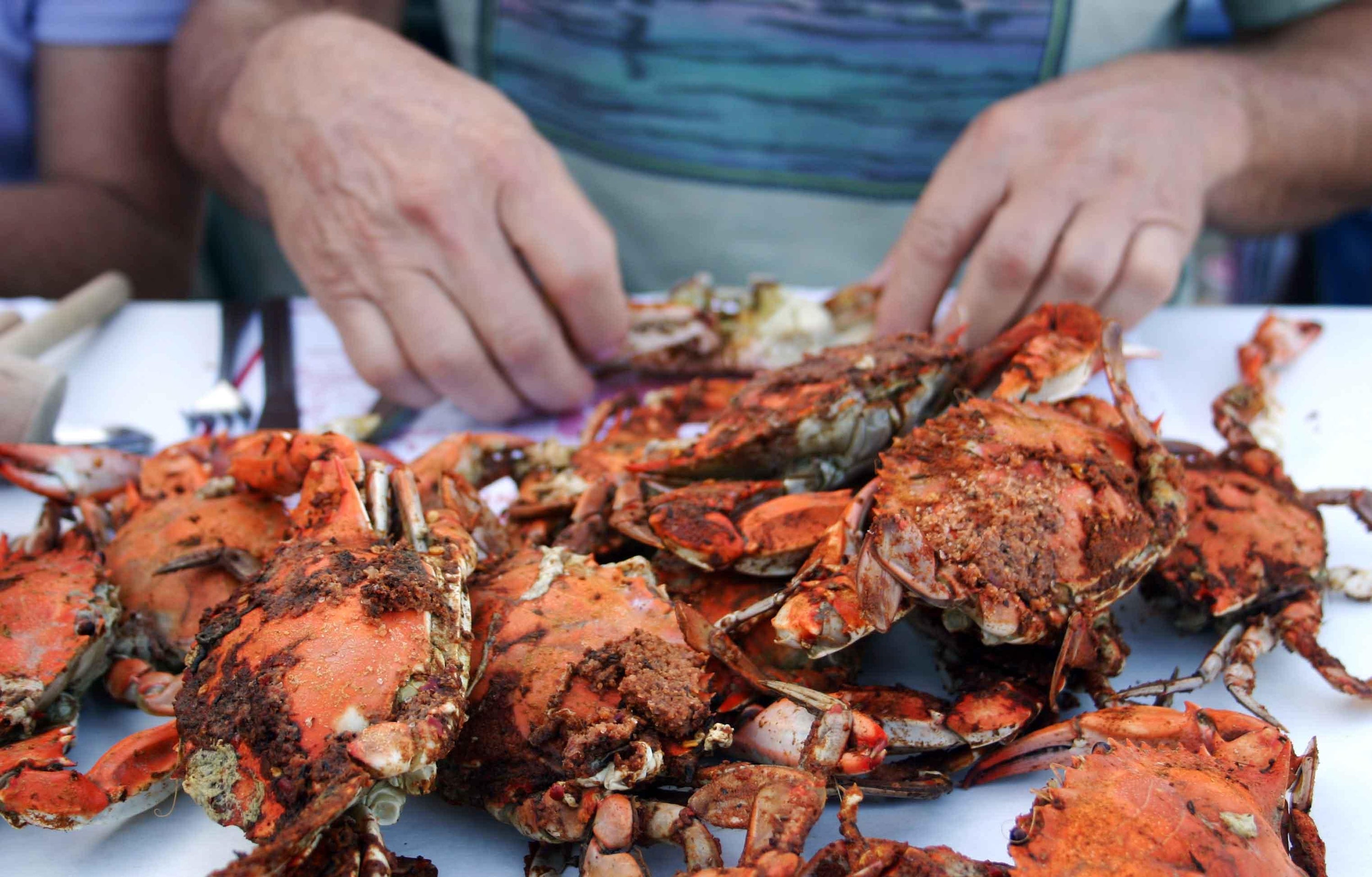How to Pick Blue Crabs–A Refresher Course! – Cameron's Seafood