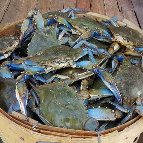 Mail Order Blue Crabs | Male Maryland Blue Crabs Online – Cameron's Seafood