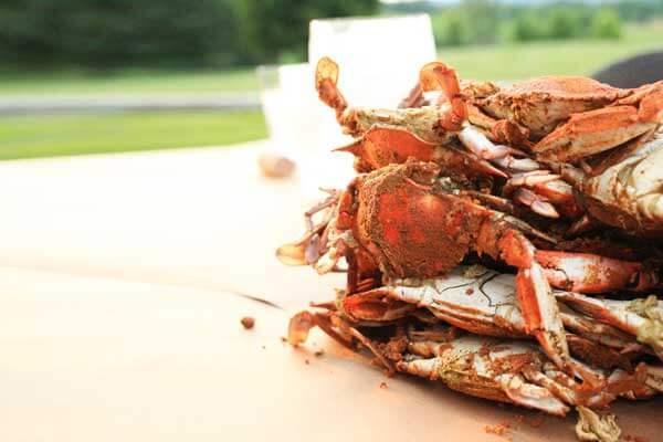 Fresh Seafood Market & Online Seafood Company | Cameron's Seafood