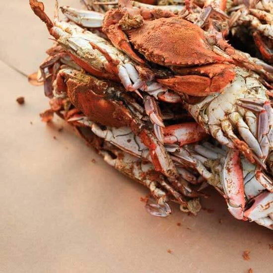 Brown Crab Paper Roll | Crab Paper Table Cover – Cameron's Seafood
