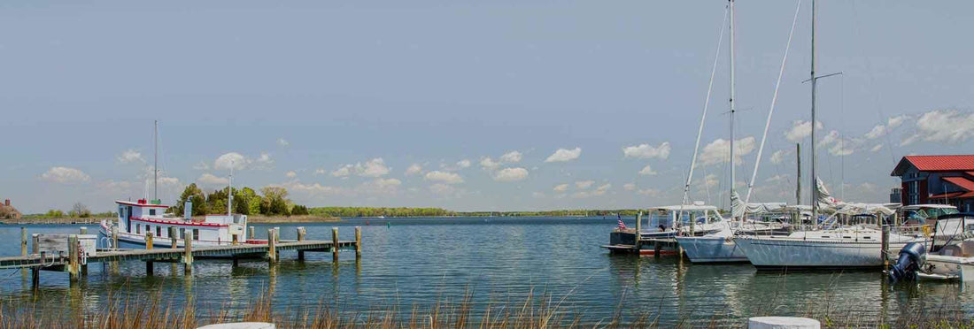 Fresh Seafood | Free Ground Shipping Available | Cameron's Seafood