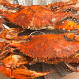 Colossal Blue Crabs for Sale | Order Maryland Style Crabs Online ...